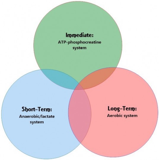 Sports Medicine: All You Wanted to Know About Sports Nutrition and ...